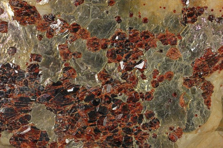 Garnet Minerals – Types, Colors, and Rocks Where They Form