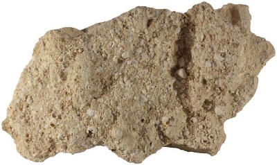 Coquina: Composition, Formation & Depositional Environments