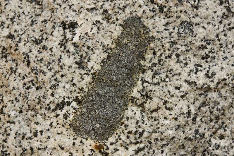 Diorite Rock: Composition, Texture & Field Identification