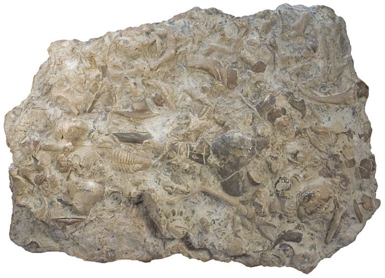 Earth's Crust Composition | Key Elements and Rocks Explained