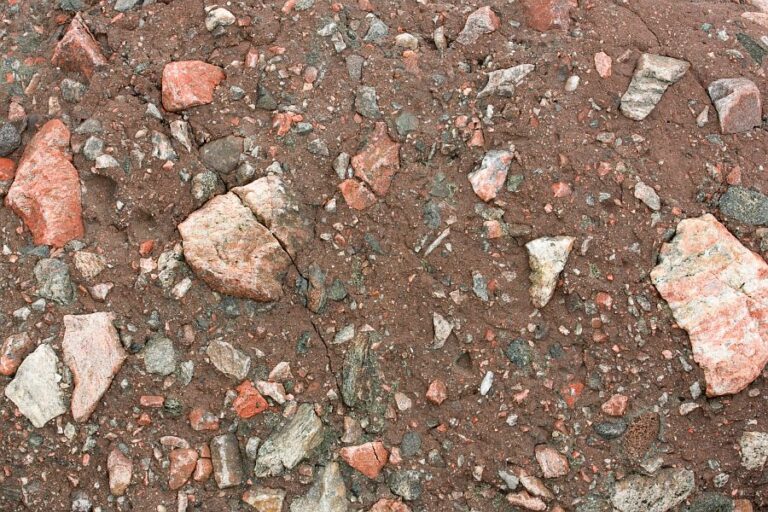 Sedimentary Rocks – Types, Formation, and Uses