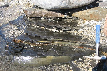 Shale Rock: Structure & Formation
