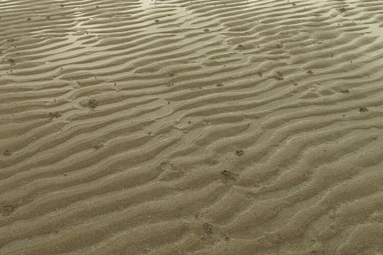 What Is Sand? Composition, Origin & Examples