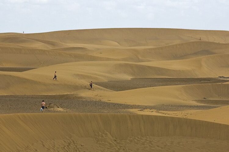 What Is Sand? Composition, Origin & Examples