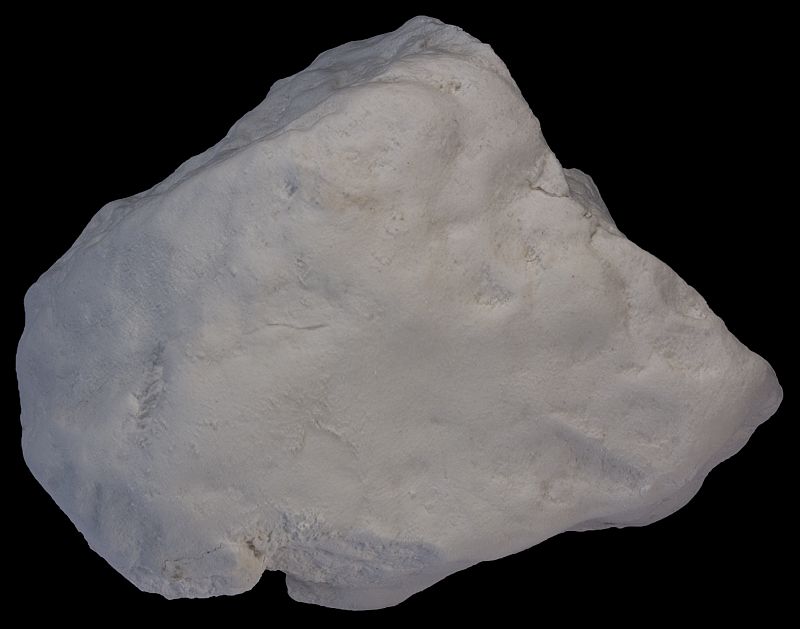 Diatomaceous earth - Sedimentary Rocks